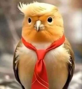 Éloge de Trump | Le Saker Francophone